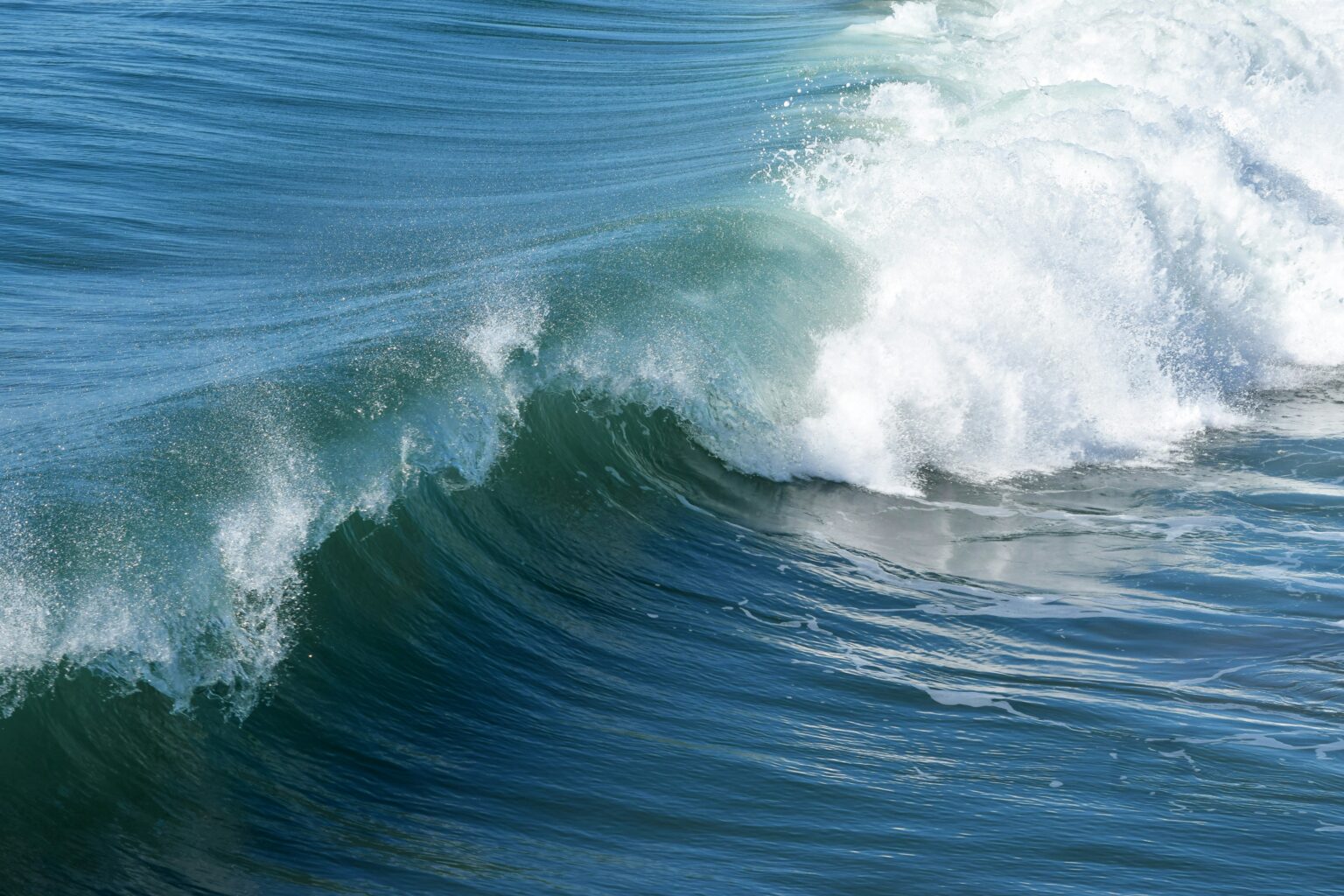 How Ships Can Optimize Bunker Consumption Using Ocean Currents ...